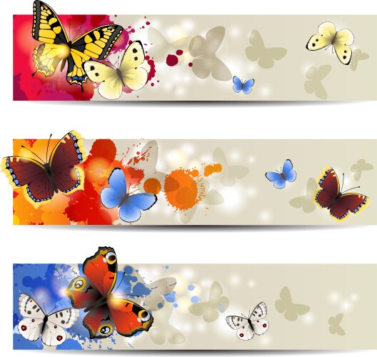 Butterfly set Royalty Free Vector Image - VectorStock