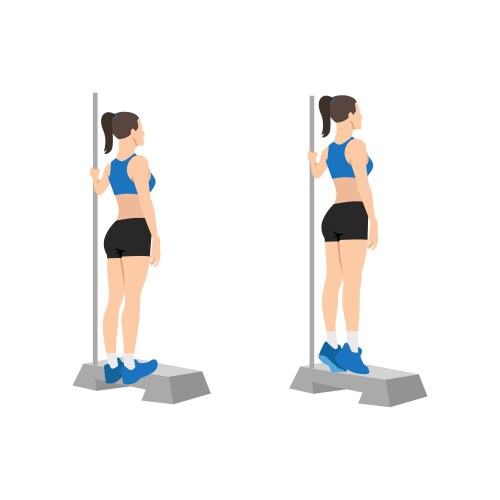 Calf raises woman exercise guidance Royalty Free Vector