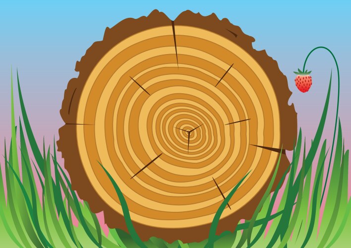 Wooden log cut Royalty Free Vector Image - VectorStock