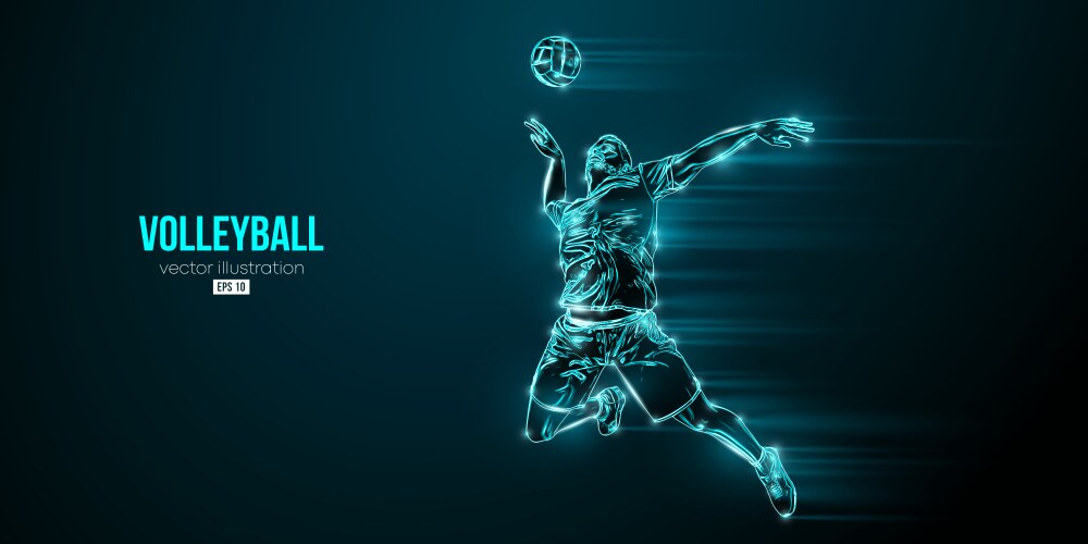 Abstract silhouette of a volleyball player Vector Image