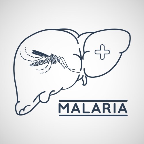 Malaria logo icon design Royalty Free Vector Image