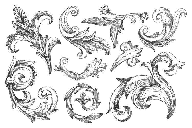 Vintage baroque scroll leaf set in engraving style