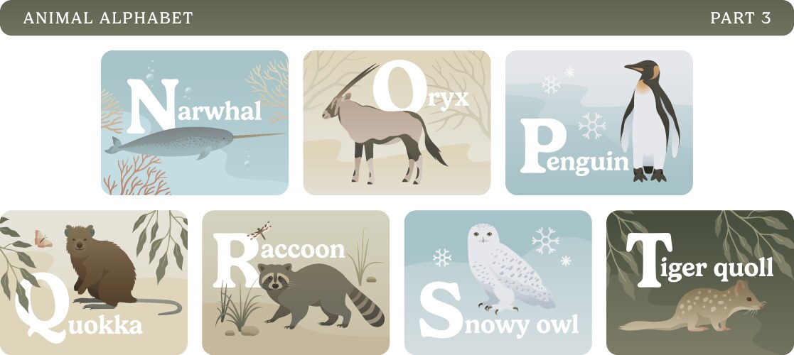 Animal alphabet colorful card set part 2 Vector Image