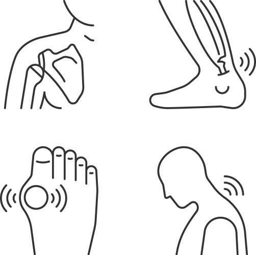 Musculoskeletal Vector Images (over 1,100)