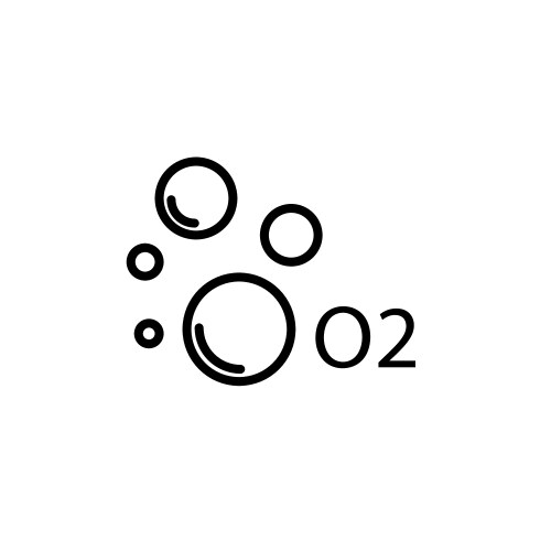 Oxygen o2 icon isolated on white background Vector Image