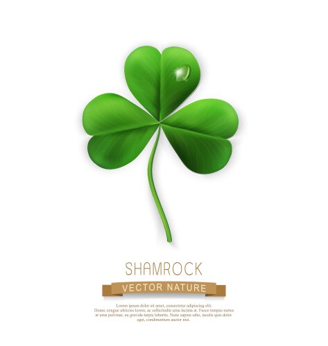 Shamrock Background Vector Images (over 31,000)