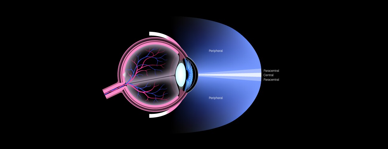 Peripheral vision poster Royalty Free Vector Image