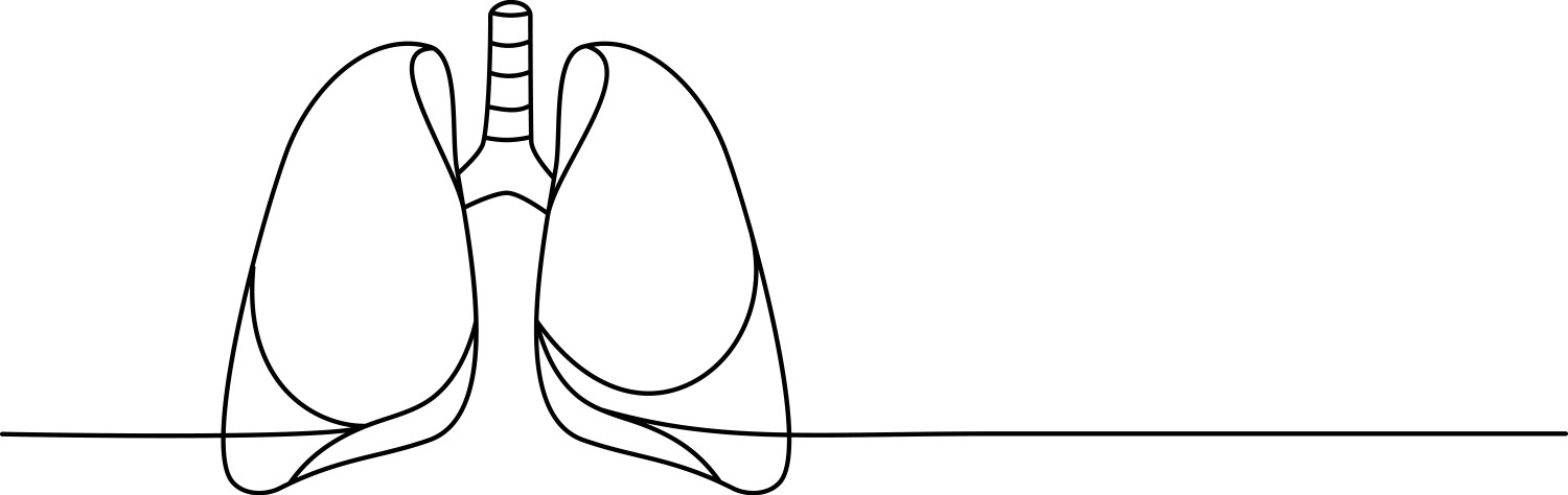 Lungs Drawing Vector Images (over 3,500)