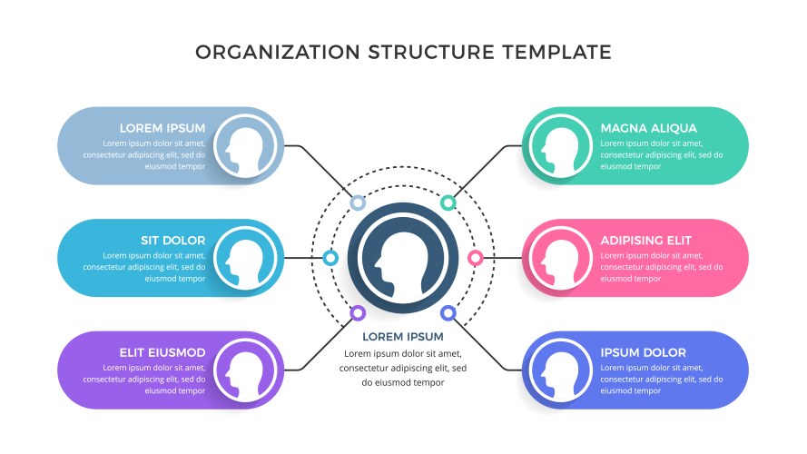 Intervertebral disc structure vertebra anatomy Vector Image