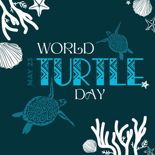 World turtle day on may 23 save turtles ocean Vector Image