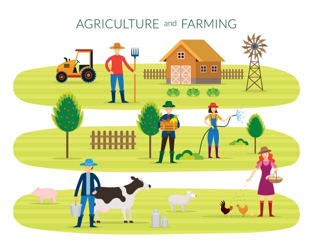 Thai farmer with rice and paddy field background Vector Image