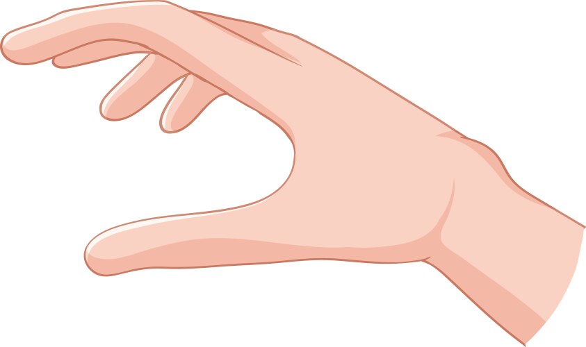 Wrist Anatomy Vector Images (over 3,000)