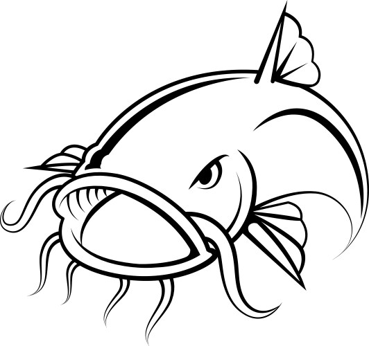 Catfish Vector Images (over 3,100)