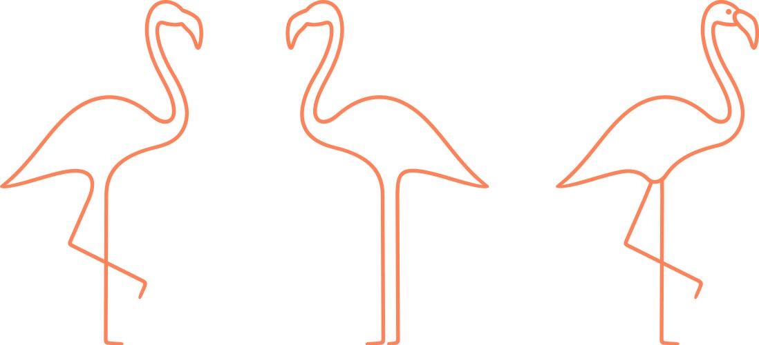 Flamingo Royalty Free Vector Image - VectorStock