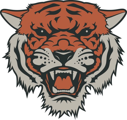 Tiger Vector Images (over 77,000)