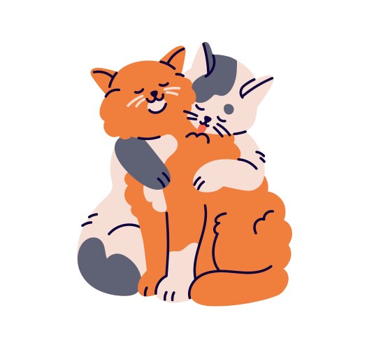 Cat set Royalty Free Vector Image - VectorStock