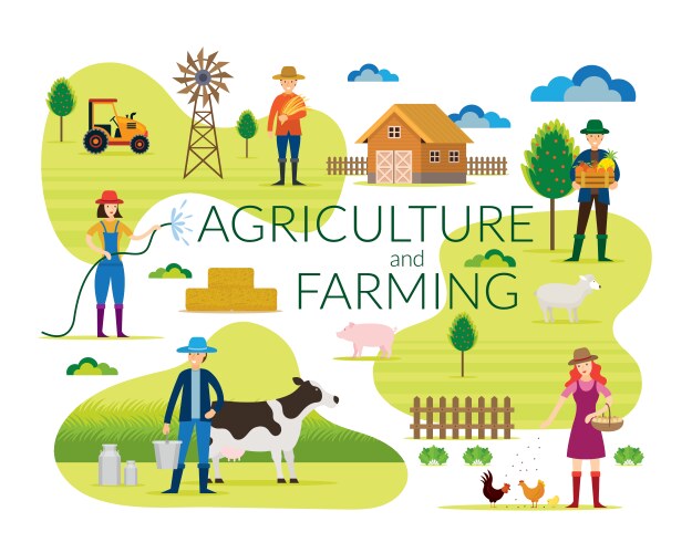 Thai farmer with rice and paddy field background Vector Image