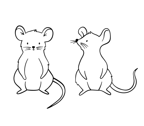 Mouse Line Drawing Vector Images (over 6,900)