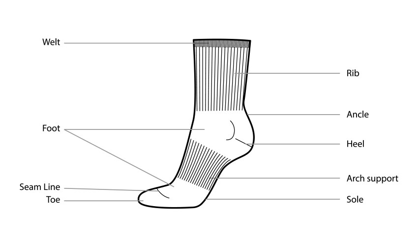 Diagrams of sock parts and measurements with text Vector Image