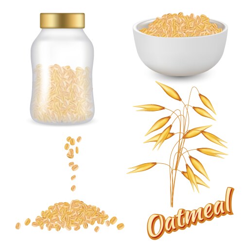 Oat pattern cereal plants oatmeal Royalty Free Vector Image