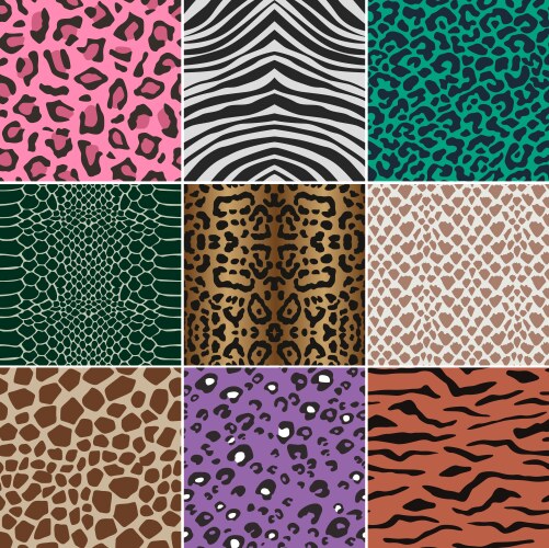 Seamless animal skin patterns set safari textile Vector Image