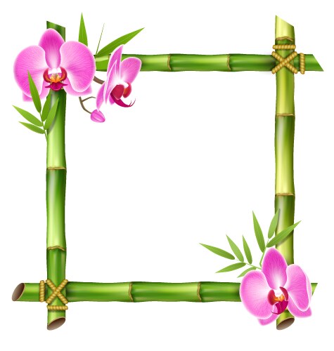 Bamboo Border Vector Images (over 2,300)