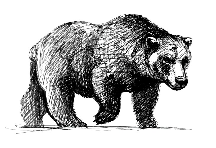 White bear Royalty Free Vector Image - VectorStock