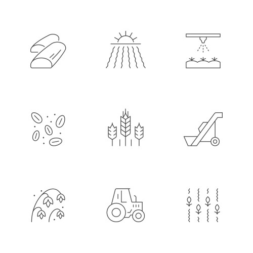 Grain crops set a collection of cereal Royalty Free Vector