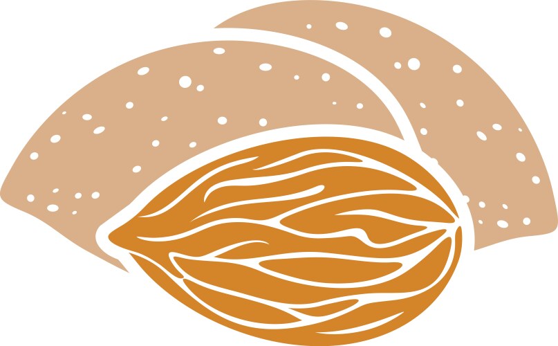 Almond Royalty Free Vector Image - VectorStock
