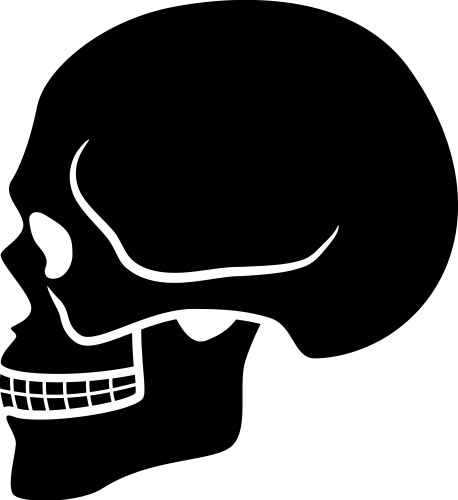 Skull Side View Vector Images (over 630)
