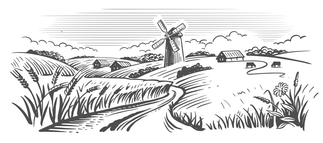 A path to farm landscape hand drawing Royalty Free Vector