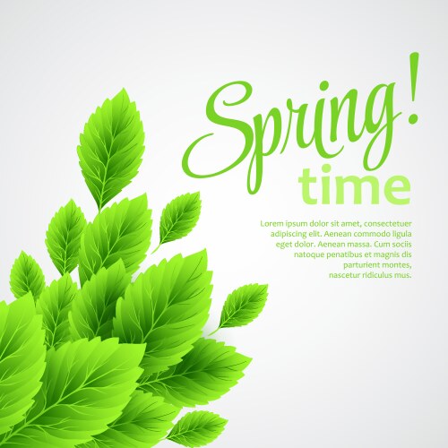 Green Royalty Free Vector Image - VectorStock