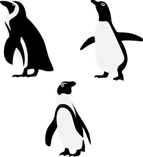 Penguin Vector Images (over 37,000)