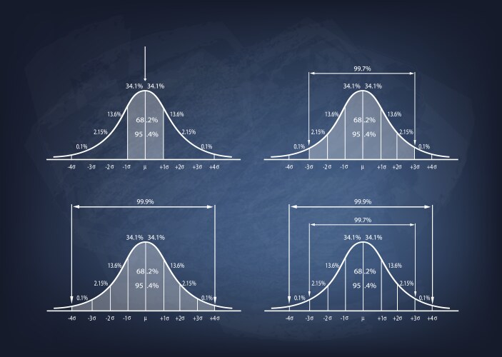 Normal distribution diagram or bell curve Vector Image