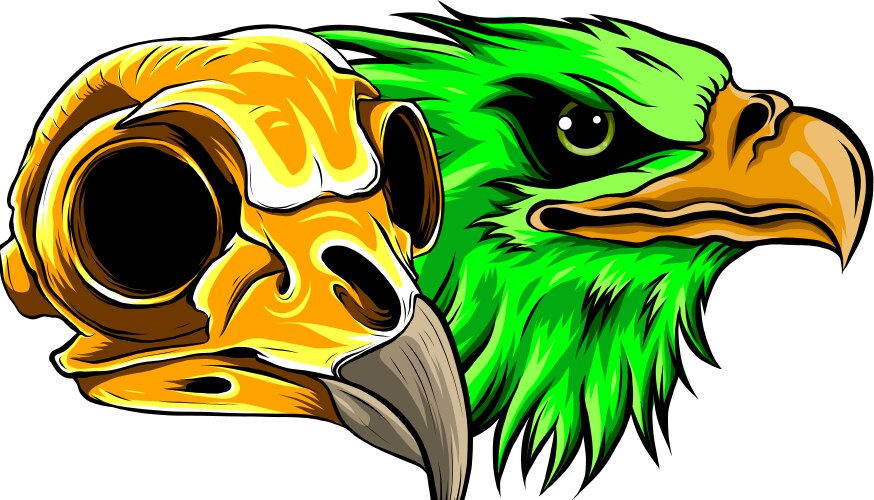 Bald Head Vector Images (over 10,000)