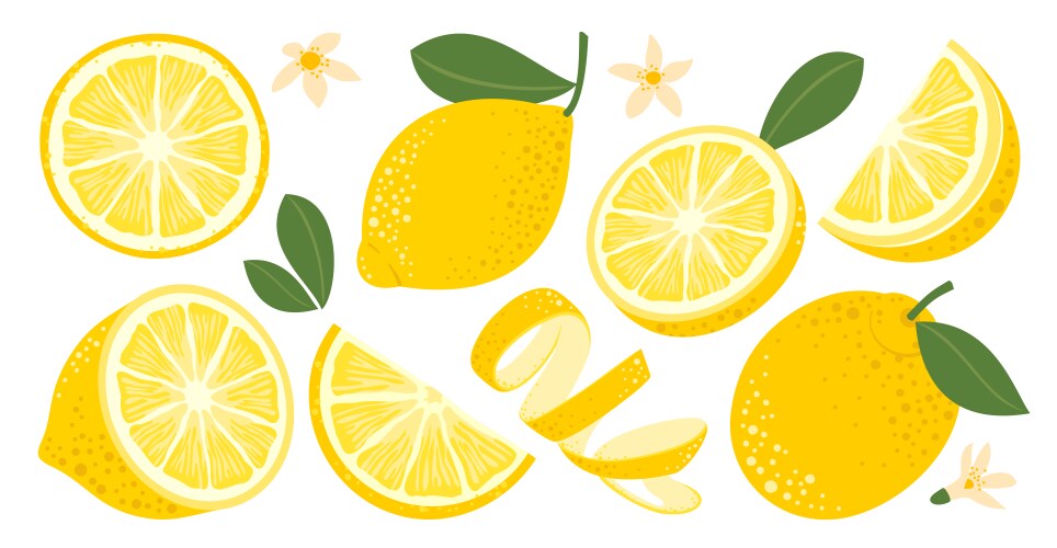 Lemon Vector Images (over 140,000)