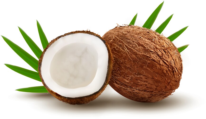 Floral & Decorative Vector Images (over 1.1 million)