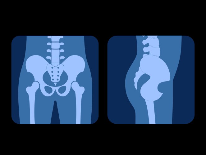 Radiology Logo Vector Images (over 980)