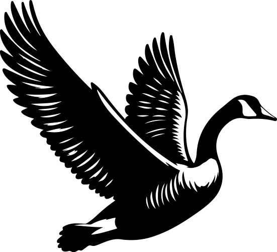 Goose Vector Images (over 30,000)