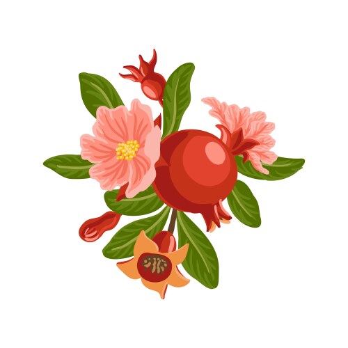 Pomegranate with leaves fresh fruit drawing Vector Image