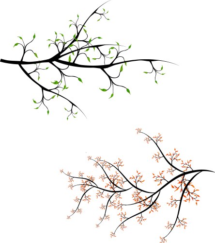 Branches Royalty Free Vector Image - VectorStock