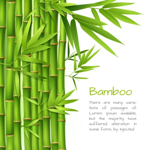 Bamboo Border Vector Images (over 2,300)