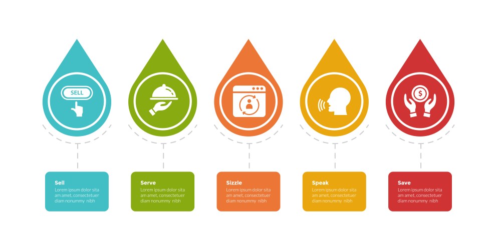 5s model marketing infographics template diagram Vector Image