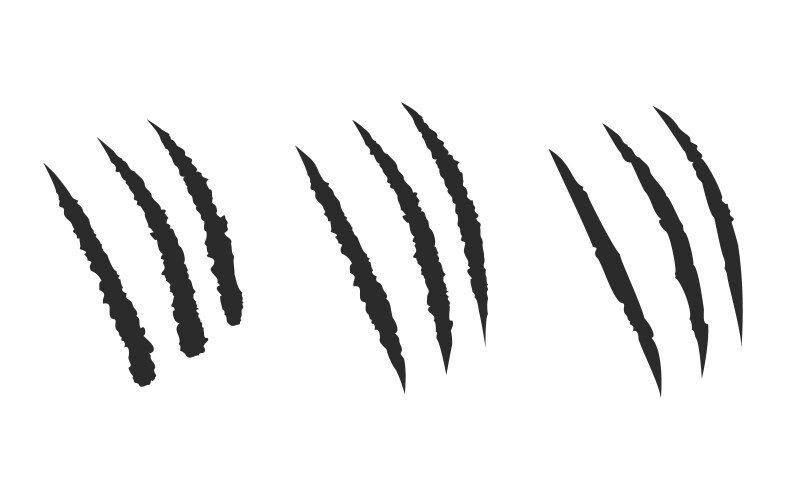 Lion Scratch Vector Images (over 760)