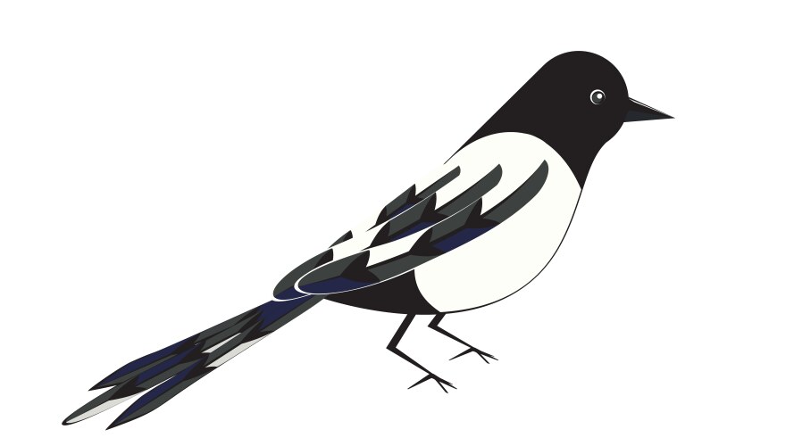 Cartoon magpie Vector Images & Graphics for Commercial Use | VectorStock
