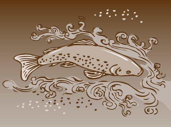 Trout Vector Images (over 13,000)