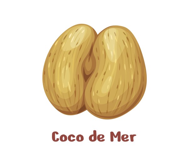 Coconut Vector Images (over 80,000)