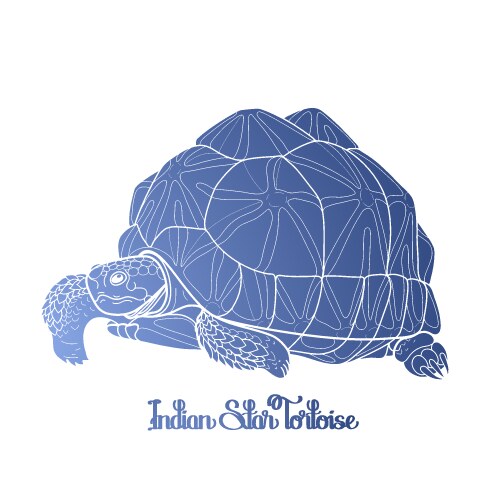 Star Line Drawing Vector Images (over 47,000)