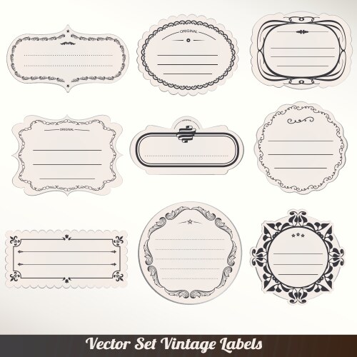 Frame labels set ornamental vintage decorat Vector Image