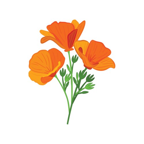 Poppy Flower Logo Vector Images (over 2,200)